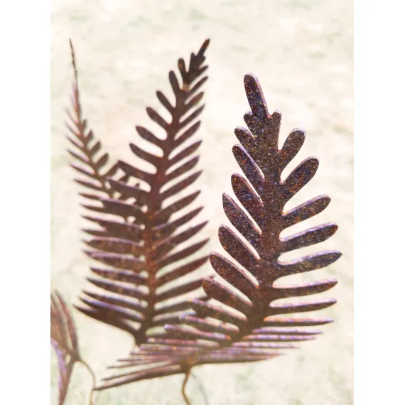 Rustic Ferns | DrakeMetalWork